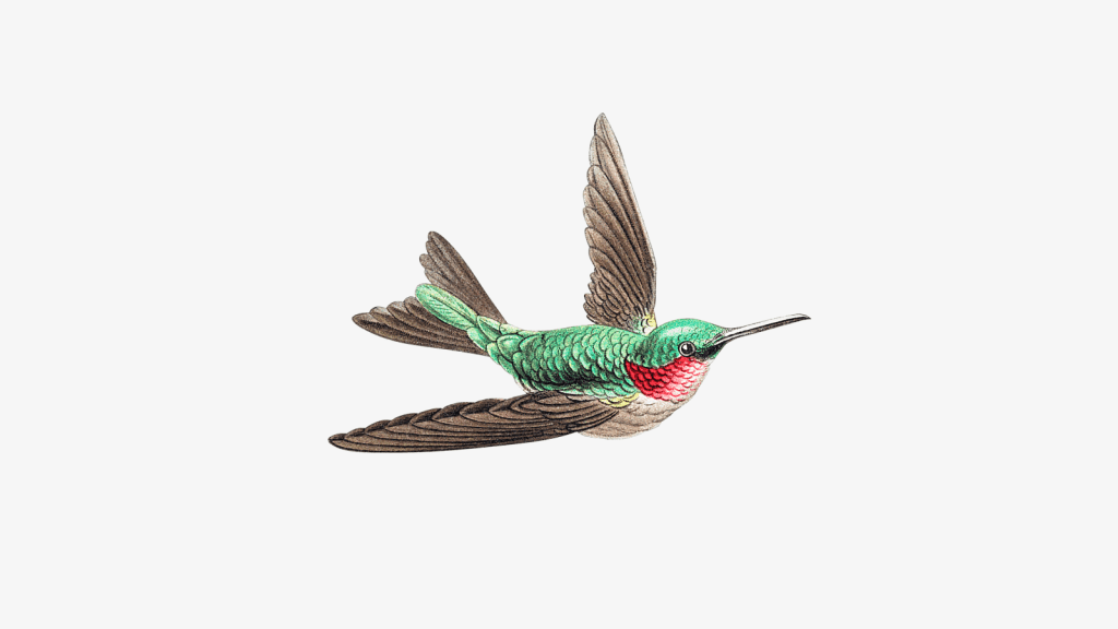 Writing Circle – Writing Sangha